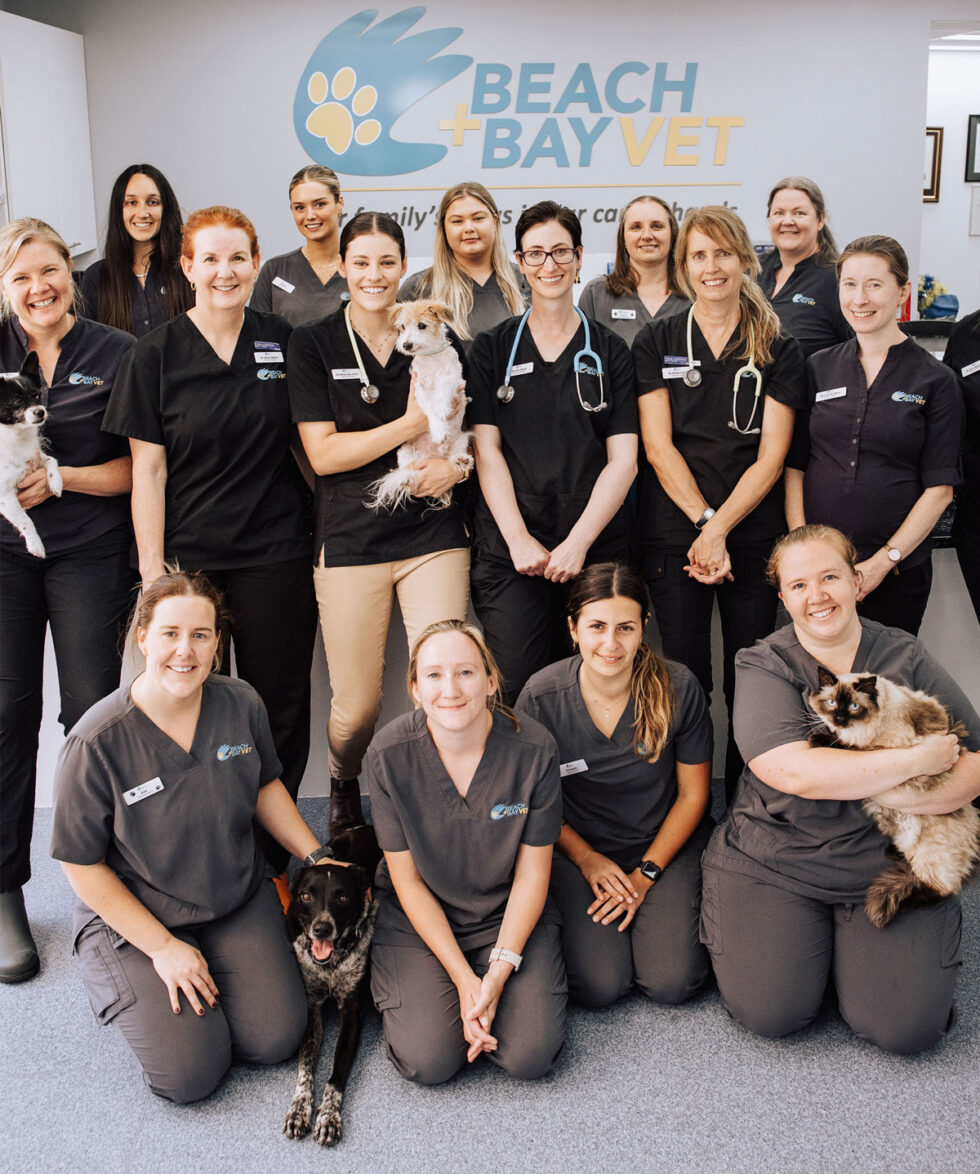 Our People | Beach + Bay Vet | Meet the Team at Beach + Bay Vet